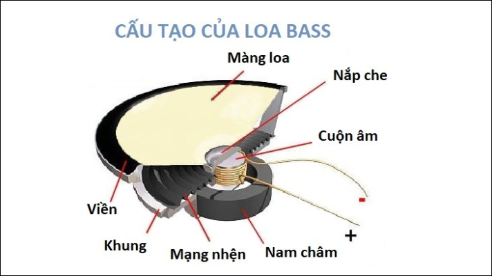 Cách nhận biết và phân biệt loa Bass và loa Subwoofer (loa siêu trầm)